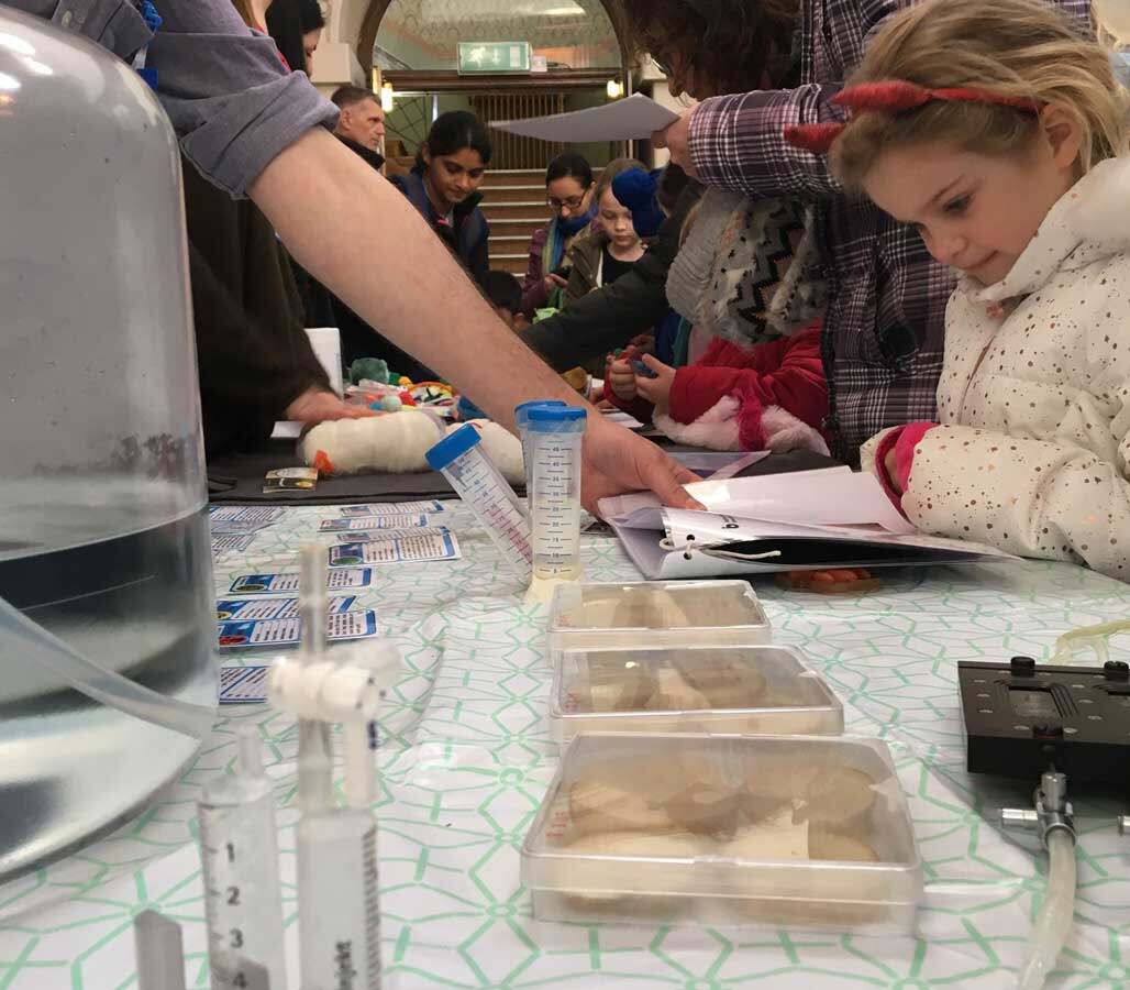 Popular Nottingham Science festival makes its return to Wollaton Hall ...